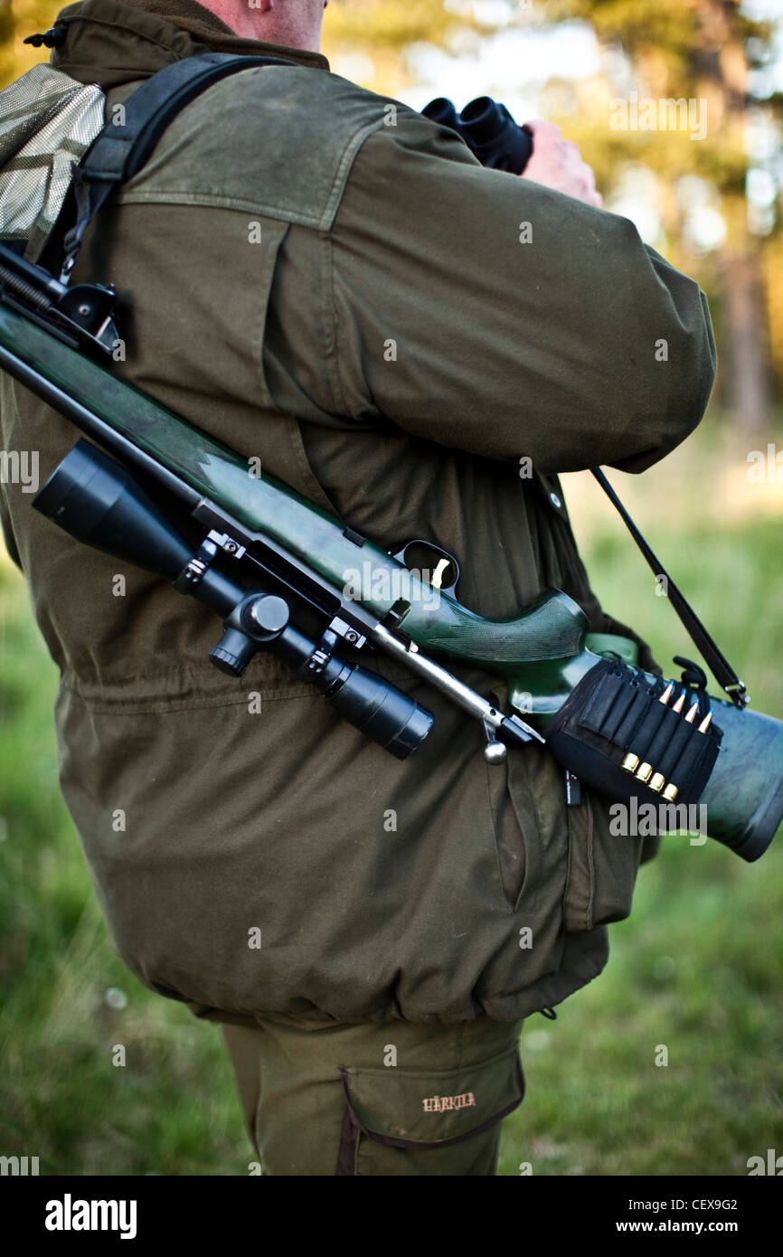 Hunter rifle in forest over hi-res stock photography and images - Alamy