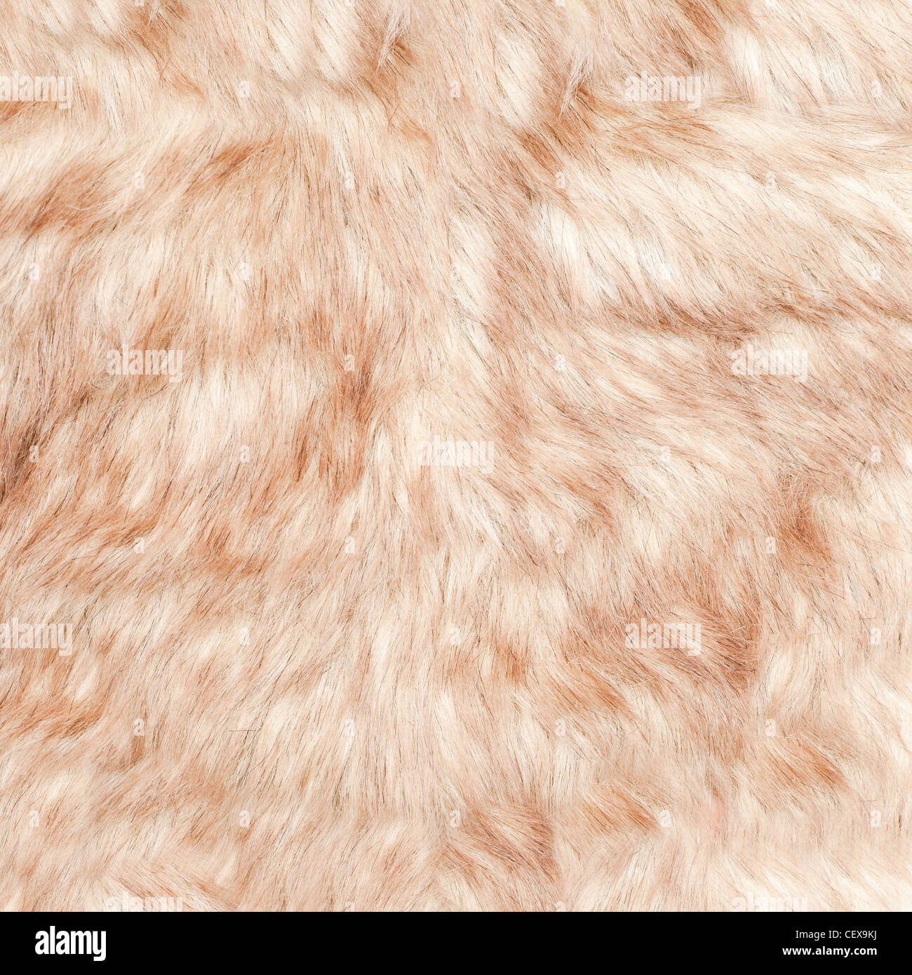 A detailed square background image of natural fur Stock Photo - Alamy