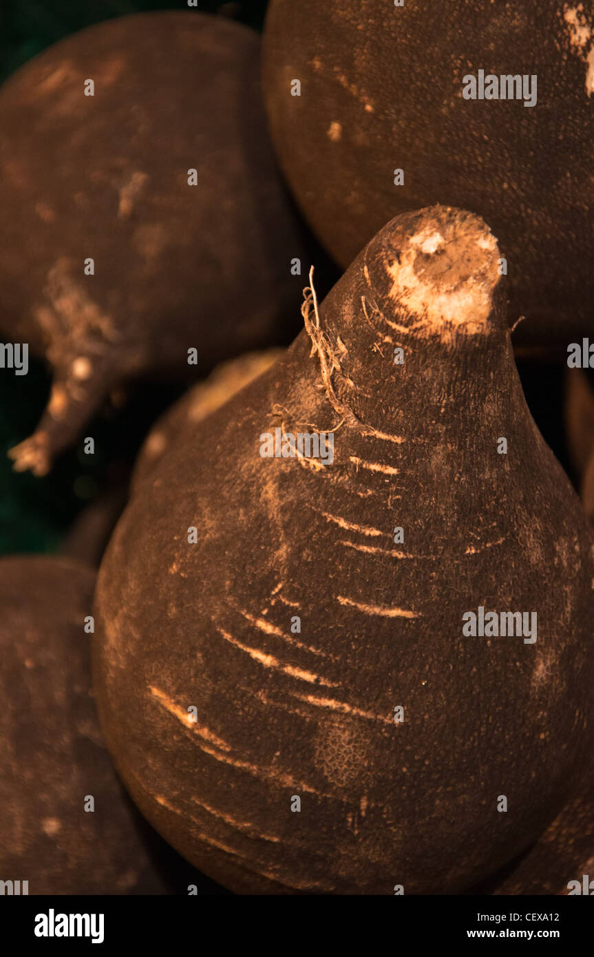 Taro root hi-res stock photography and images - Alamy