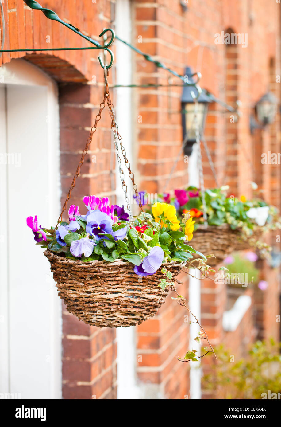 Row of hanging baskets outside red brick houses Stock Photo - Alamy