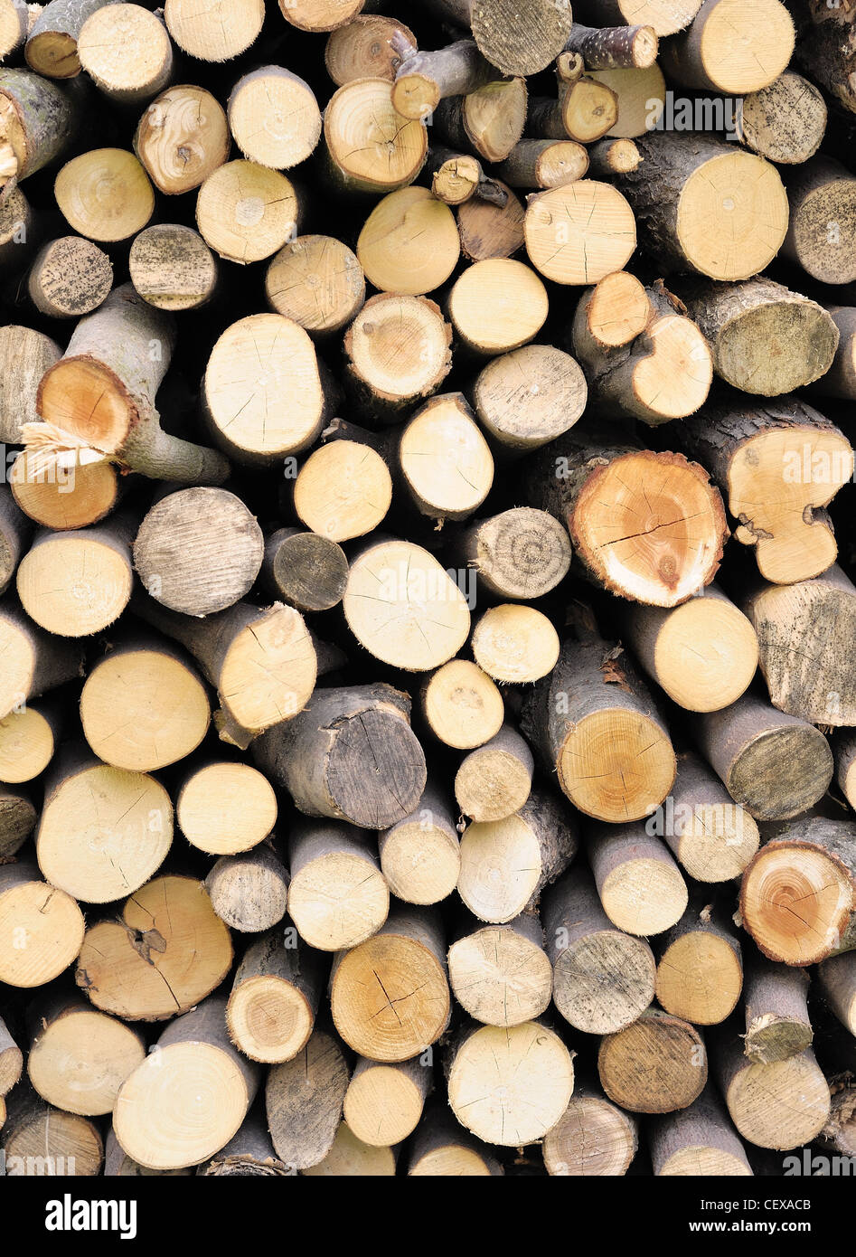 Stack of wood in woodhouse Stock Photo - Alamy