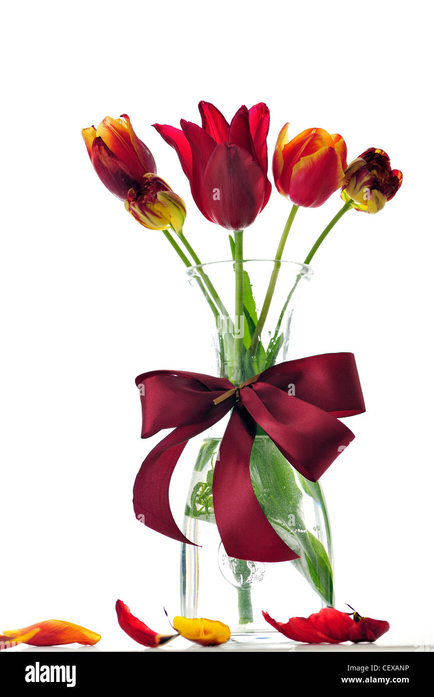 aroma, flower, fresh, open, reflection, stil life, spring, tulips ...