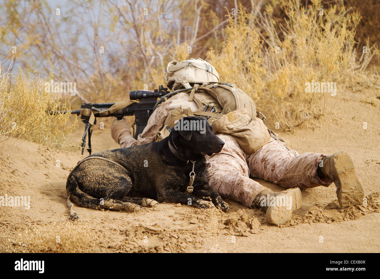 3rd reconnaissance battalion hi-res stock photography and images - Alamy