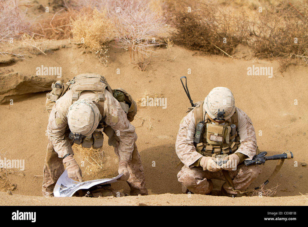 3rd light armored reconnaissance battalion hi-res stock photography and ...