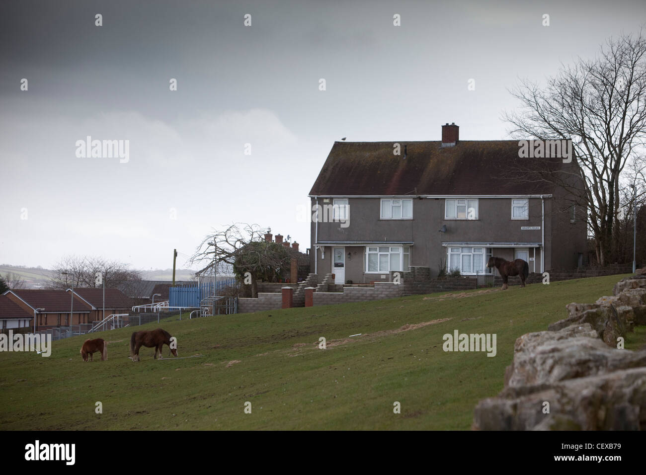 Penlan Swansea High Resolution Stock Photography and Images - Alamy