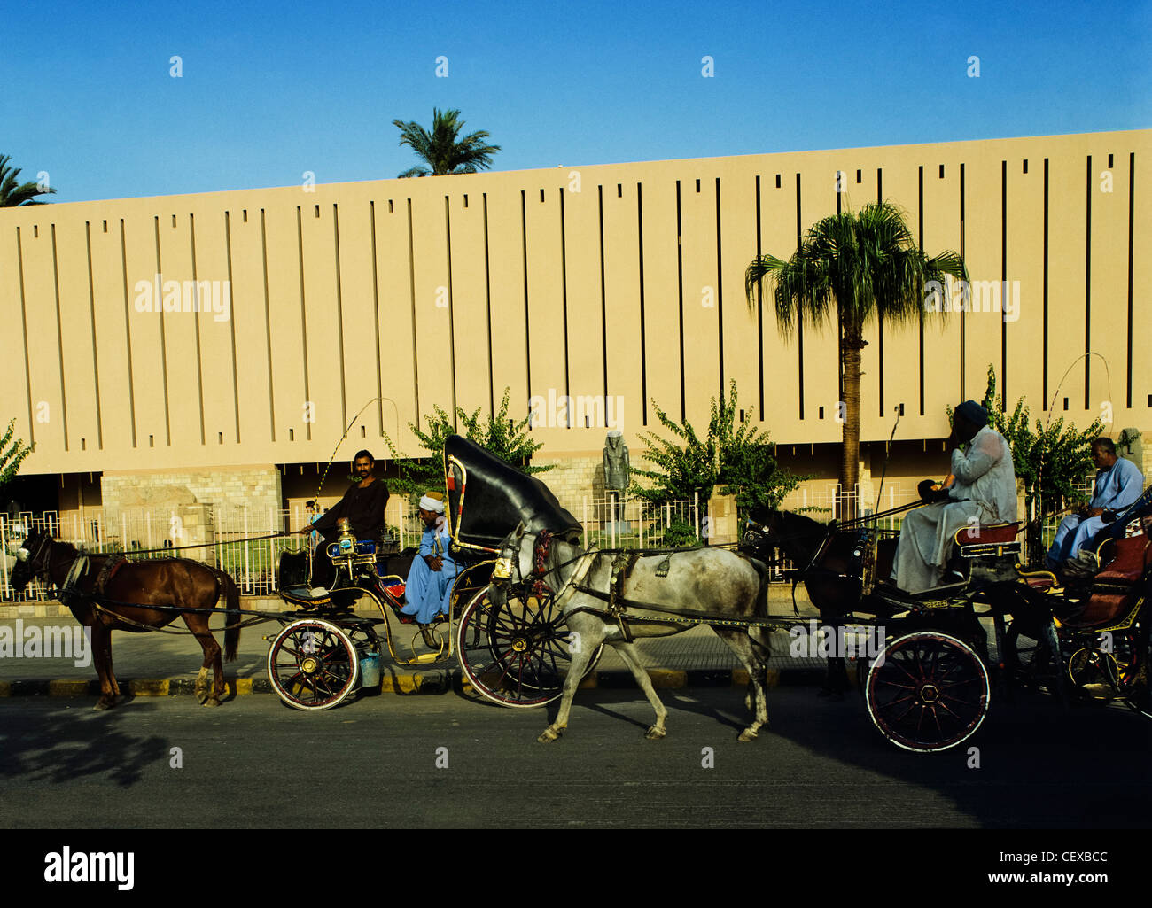 Horsedrawn carriage on the road hi-res stock photography and images - Alamy