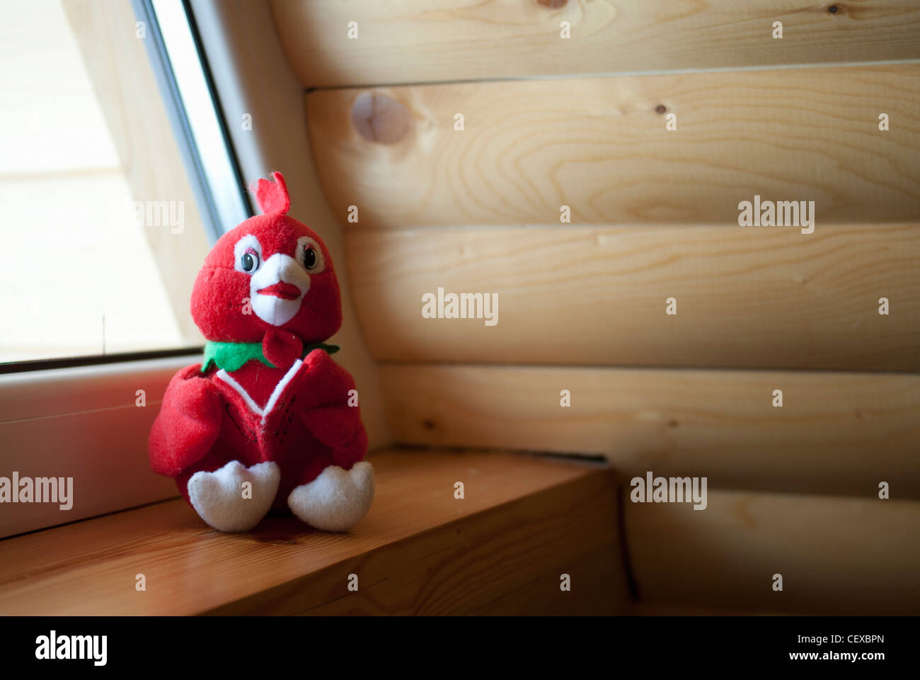 cuddly parrot sitting near window in wooden house Stock Photo - Alamy