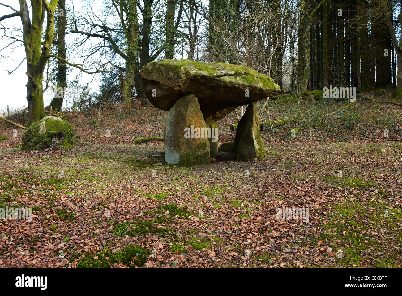 Neolithic Tomb Dolmen Wales Uk High Resolution Stock Photography and ...
