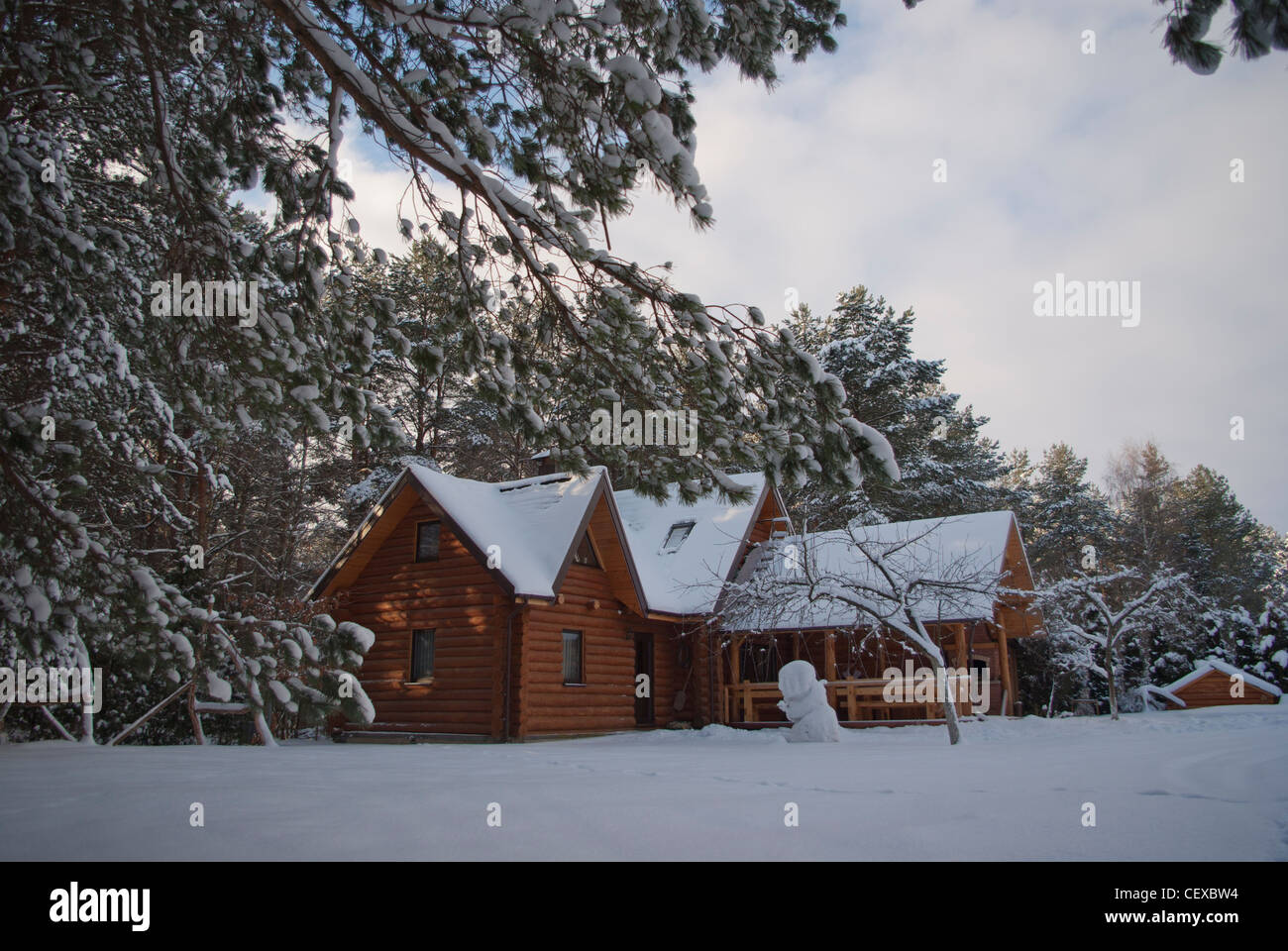 wooden house covered with snow in winter surrounded by forest Stock ...