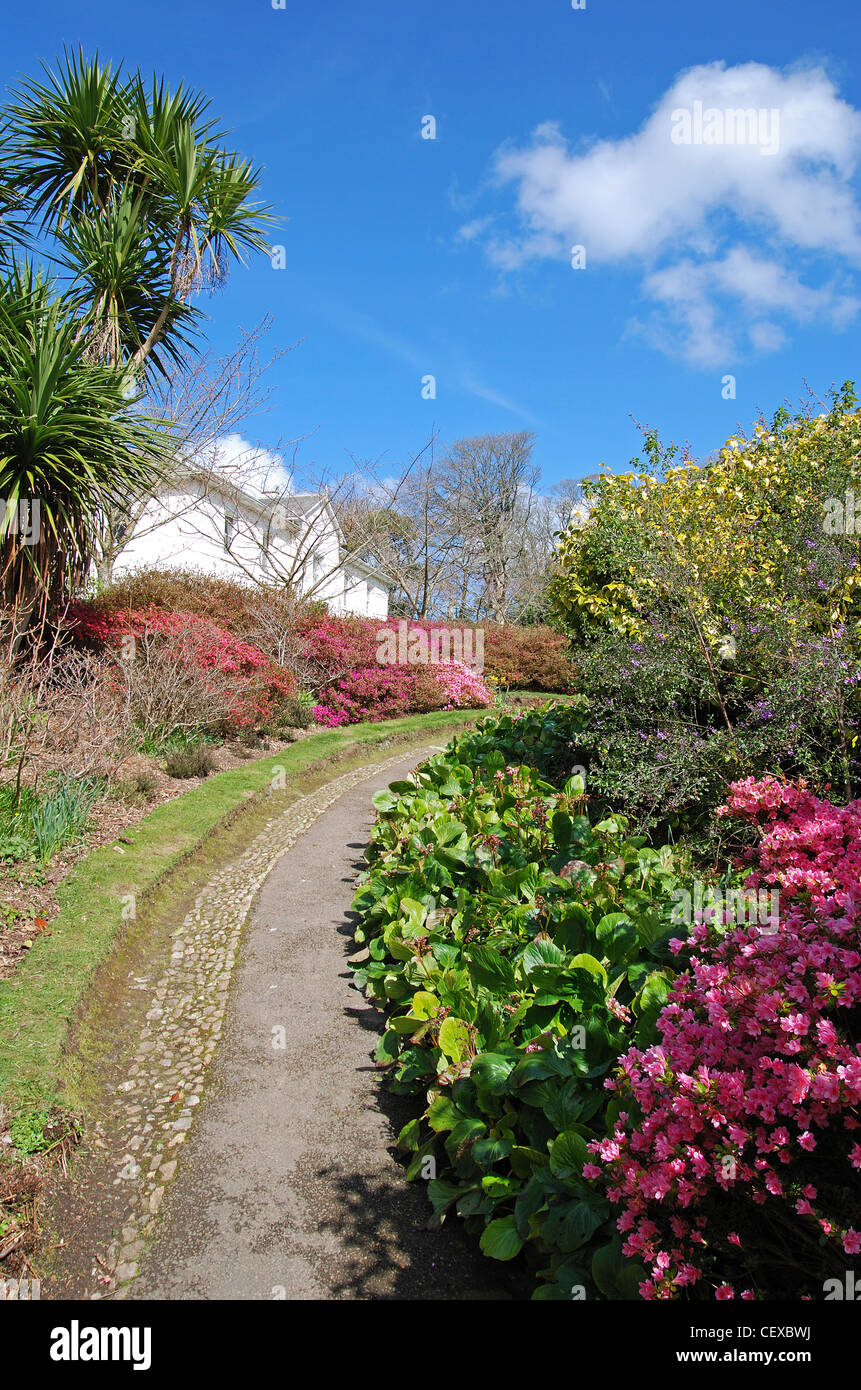 Spring flowering shrubs uk hi-res stock photography and images - Alamy