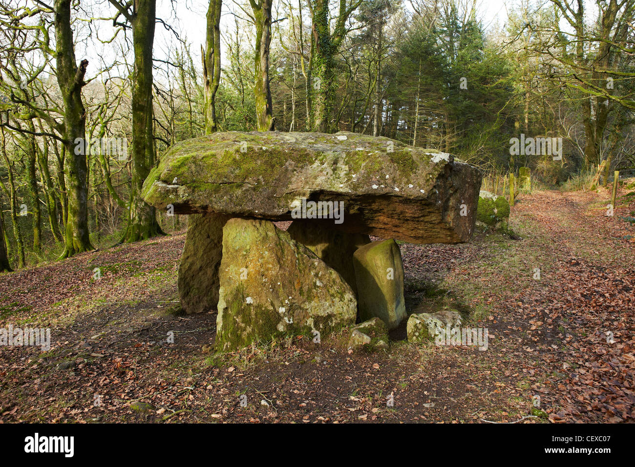 Neolithic tomb wales uk dolmen carmarthenshire hi-res stock photography ...