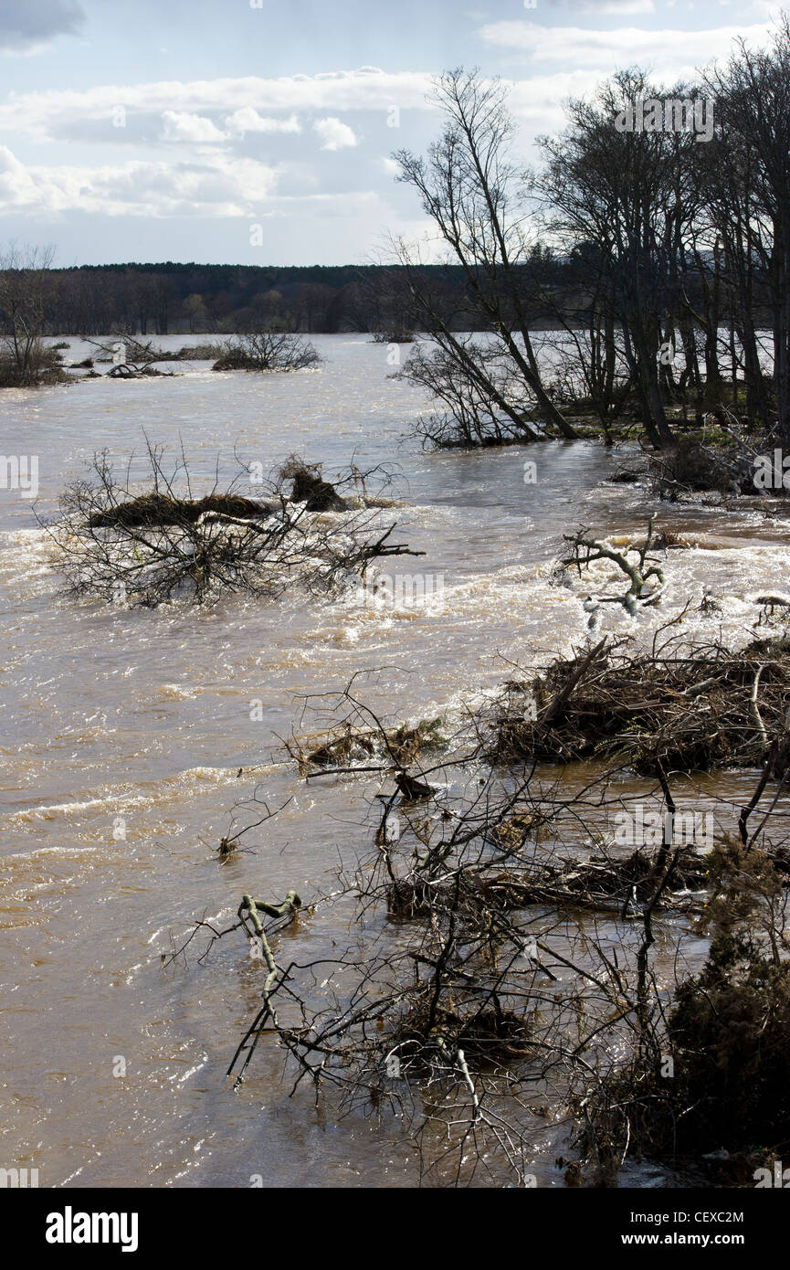 River Spey in spate and flooding at Garmouth, Scotland in April 2010 ...