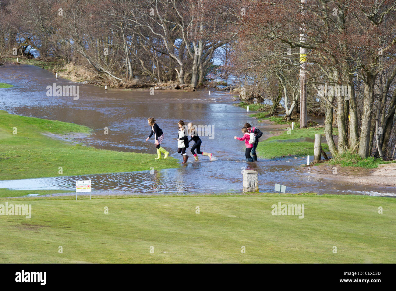 Children splashing across flooded golf course beside River Spey at ...