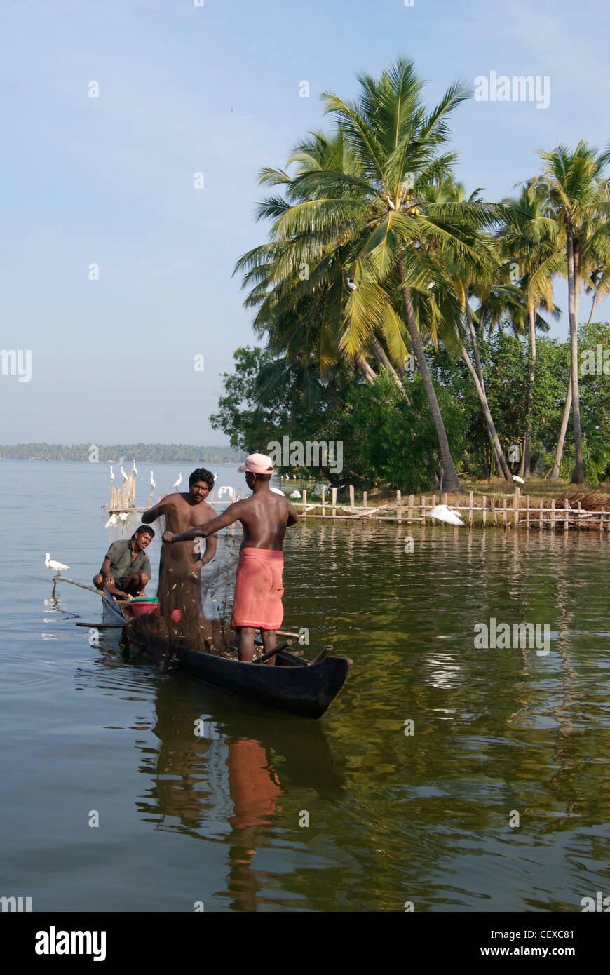 Kerala Backwater Fish Stock Photos & Kerala Backwater Fish Stock Images ...