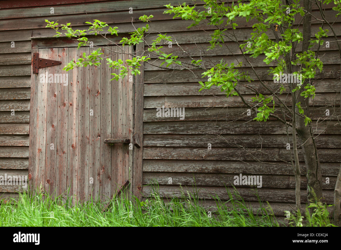 old barn doors with green grass; manitoba, canada Stock Photo - Alamy