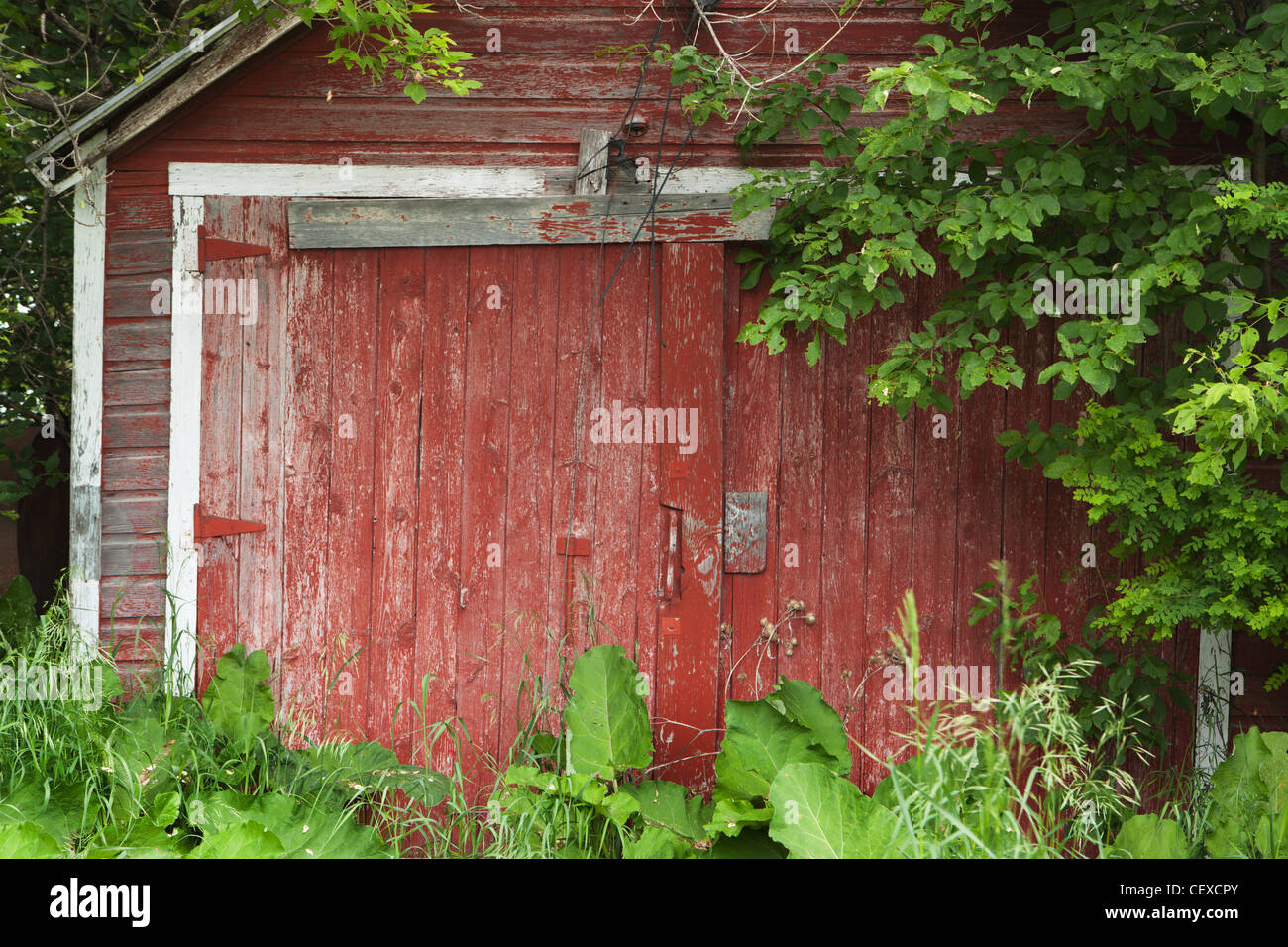 Weathered old red barn door hi-res stock photography and images - Alamy