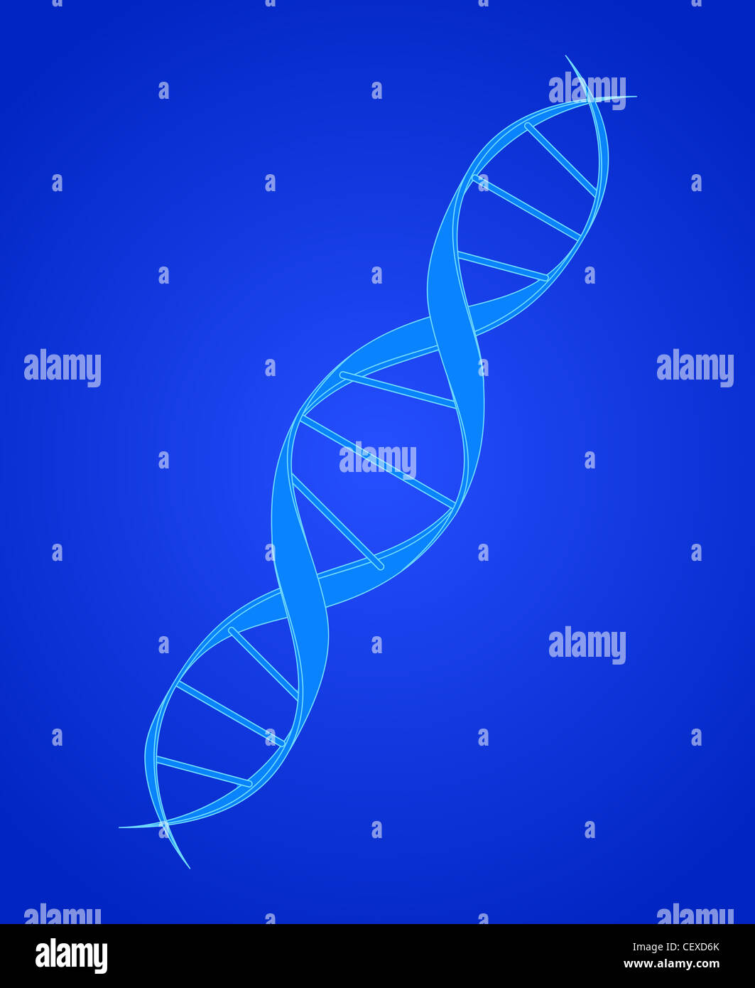 DNA Spiral on Blue - White illustration of DNA spiral on blue ...