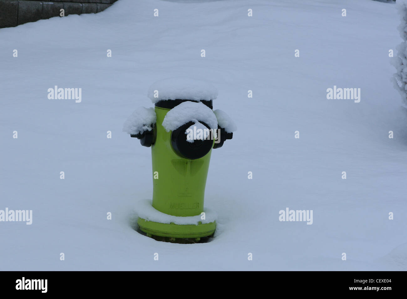 Winter scenes from Calgary, Alberta, Canada. Fire hydrant Stock Photo ...