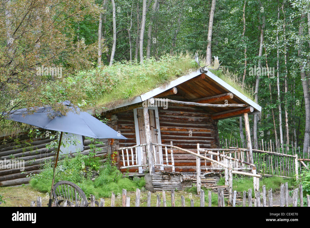Historic Robert Service Cabin nestled in the forest in Dawson City ...