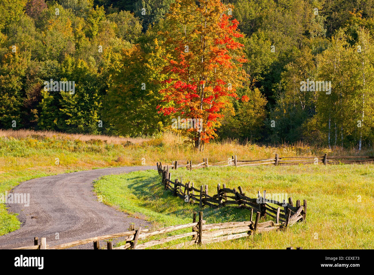 Lac brome hi-res stock photography and images - Alamy