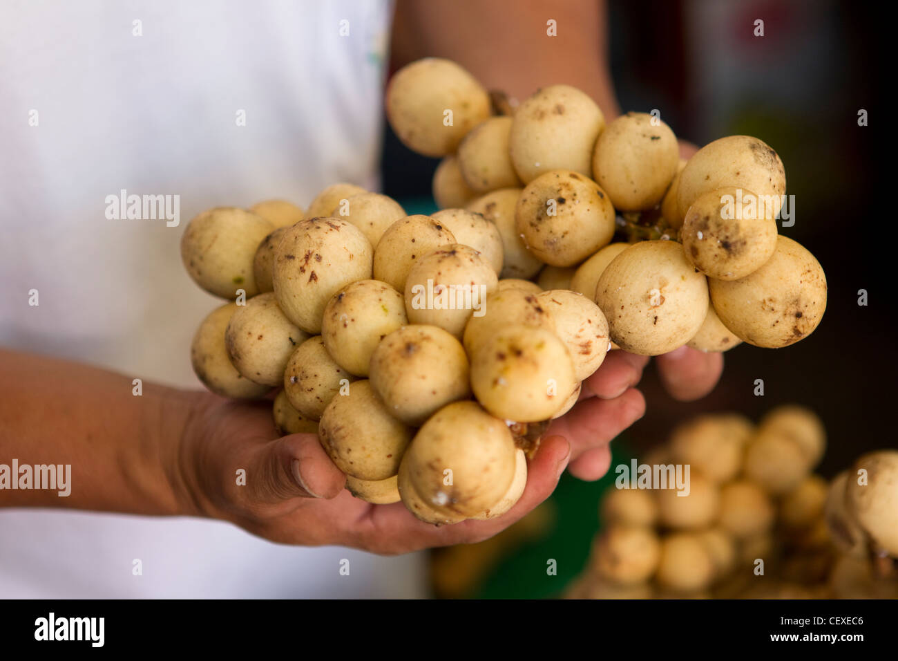 Asian Images High Resolution Stock Photography and Images - Alamy