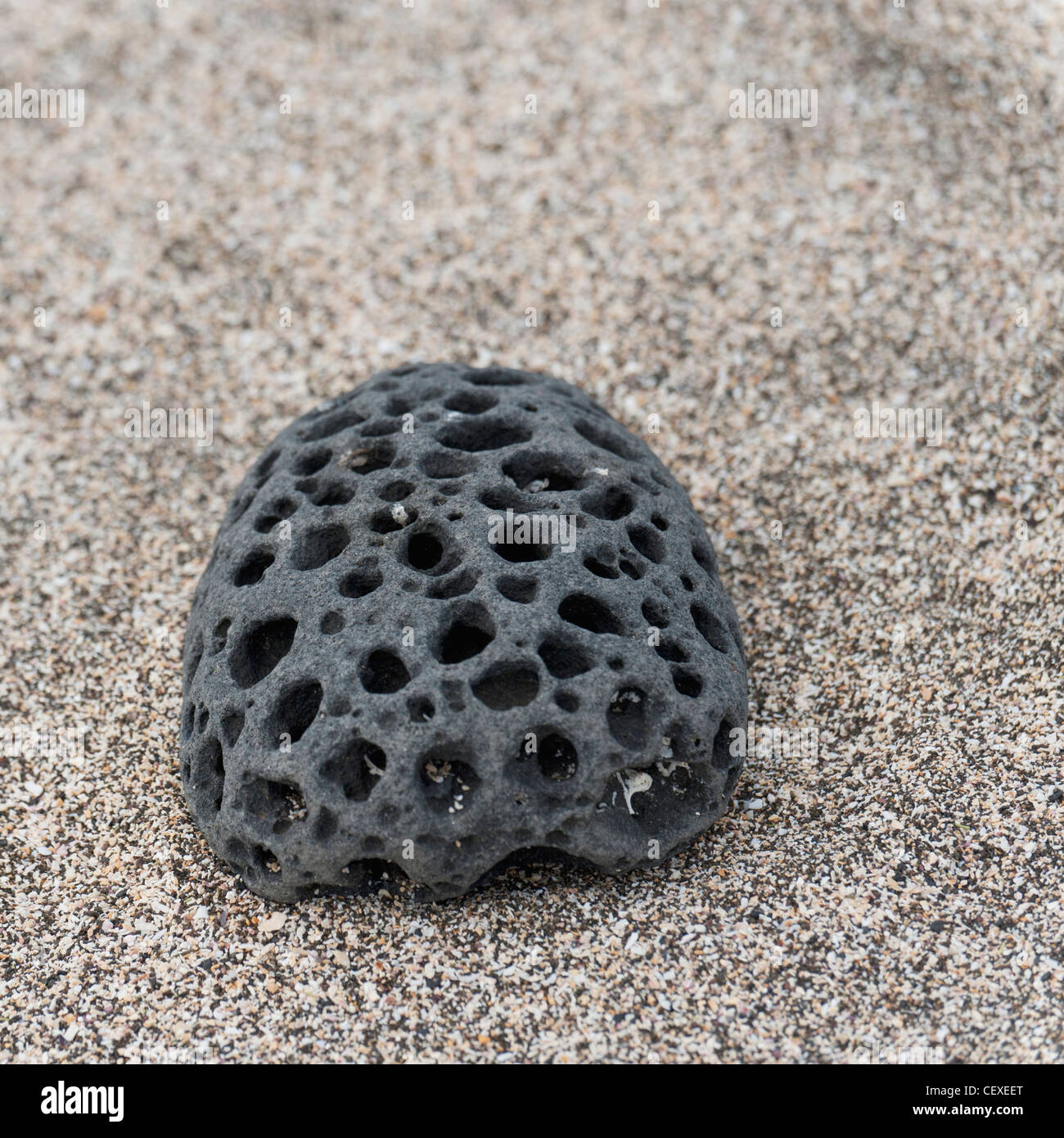 a rock with holes through it sitting on the beach; galapagos, equador ...