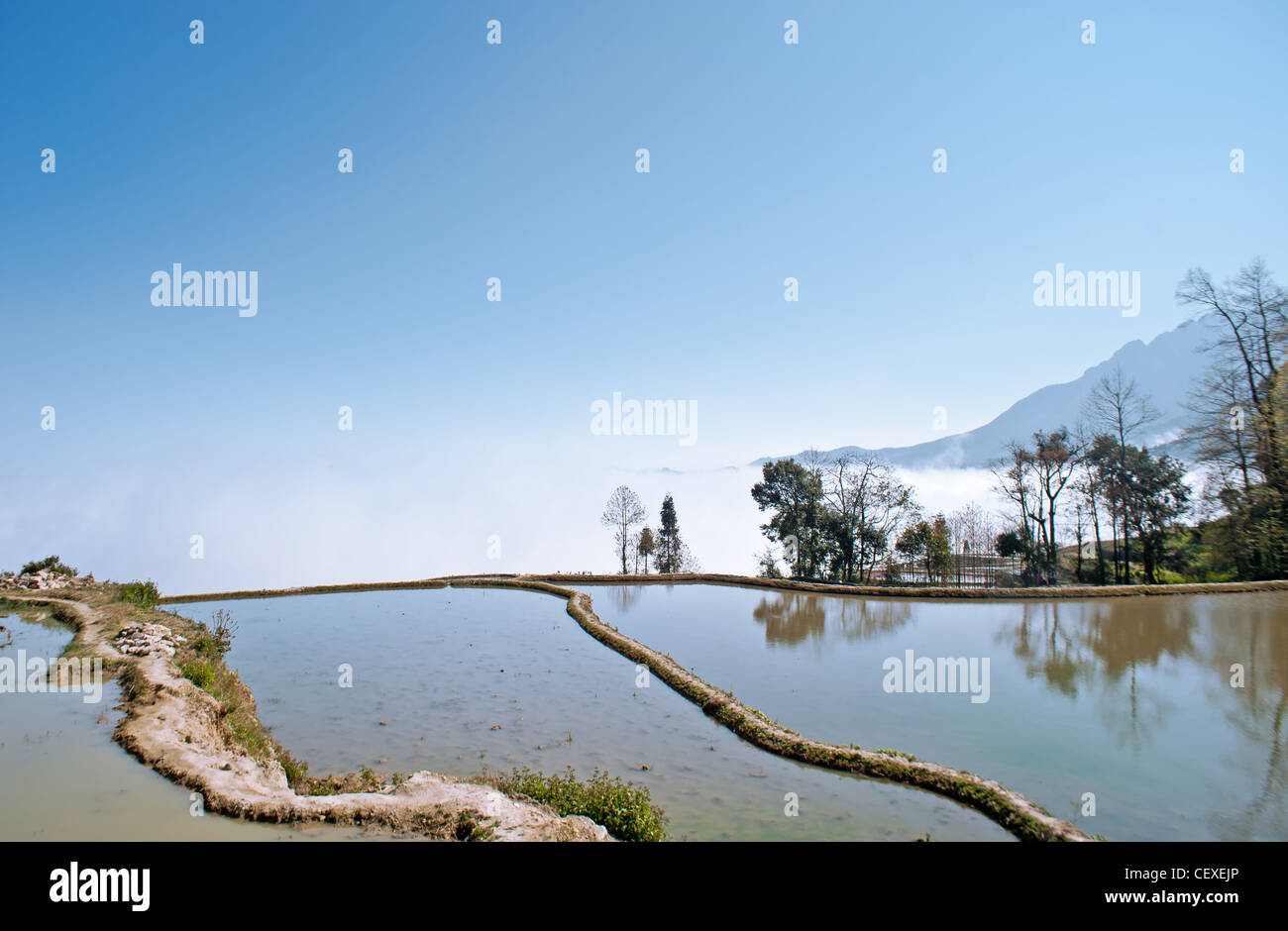China Yunnan, Yuanyang terraced color Stock Photo - Alamy