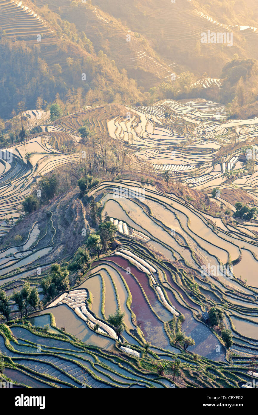 China Yunnan, Yuanyang terraced color Stock Photo - Alamy