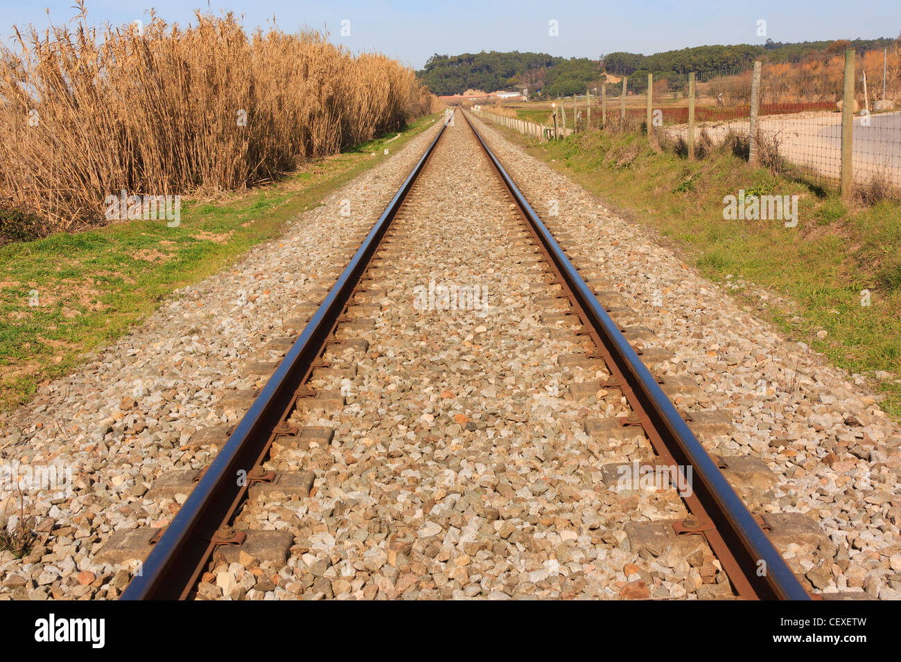 An empty railway track through woods, in Portugal Stock Photo - Alamy