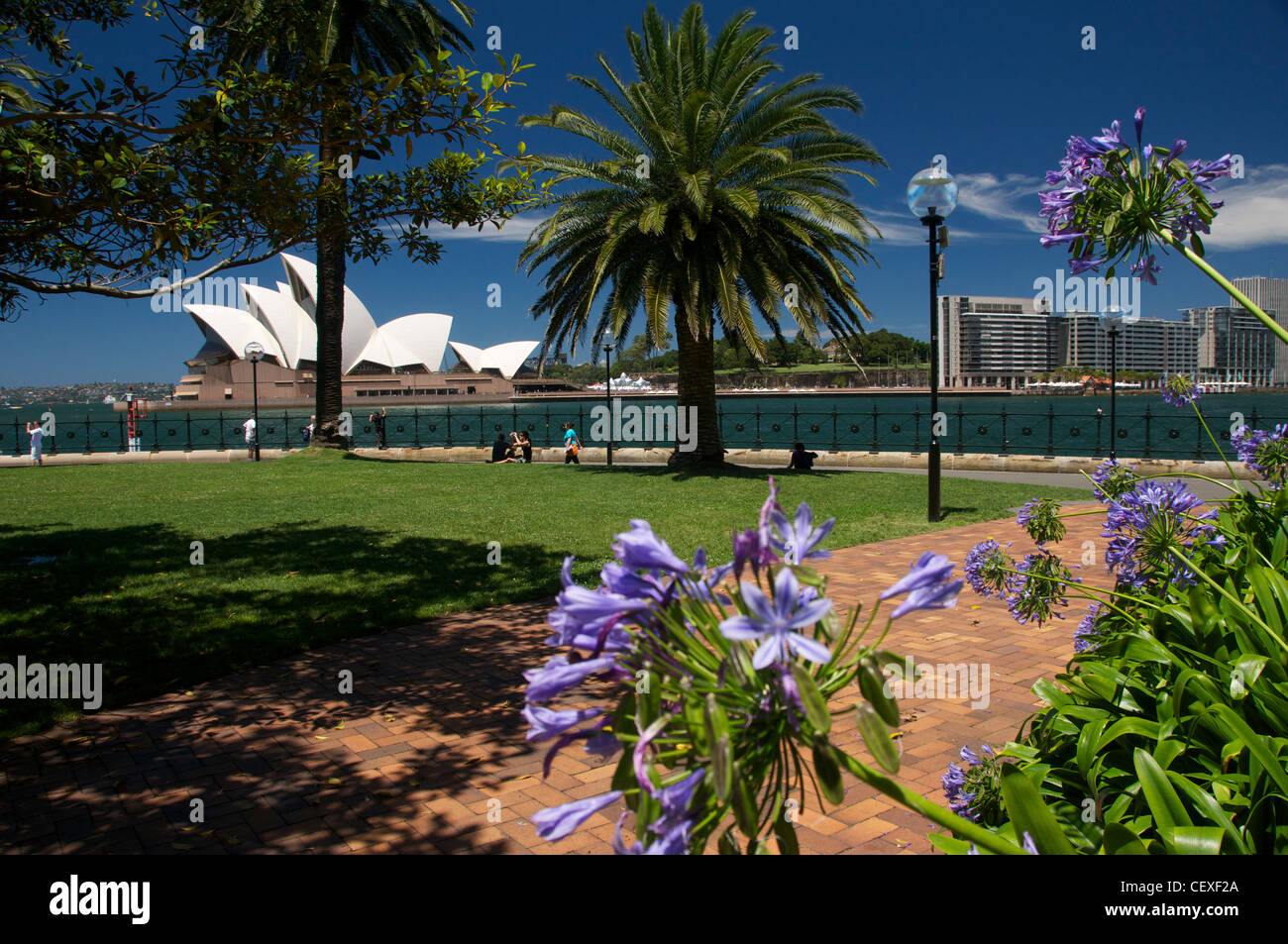 Sydney dawes point park hi-res stock photography and images - Alamy