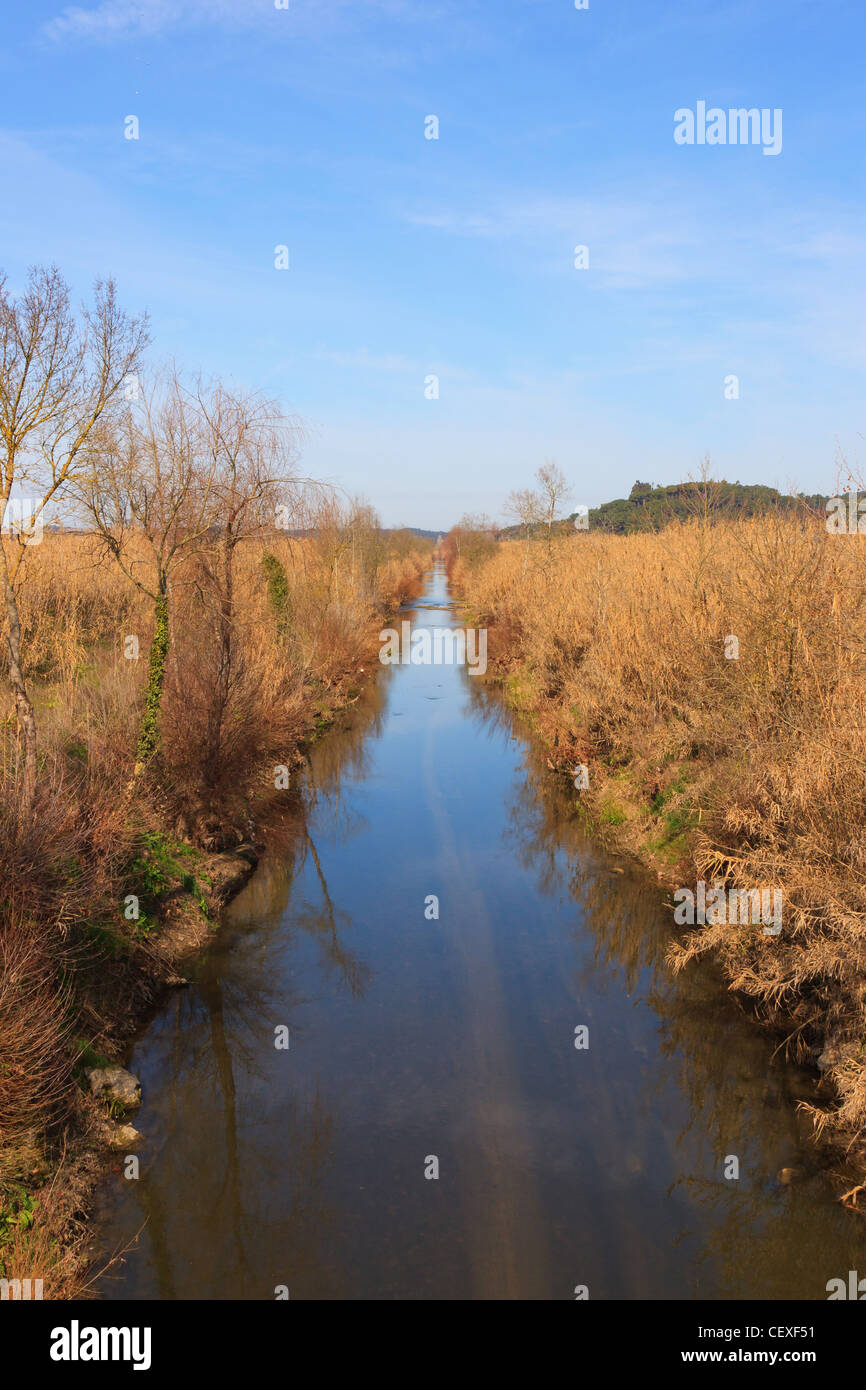 Landscape of a small river trough forest Stock Photo - Alamy