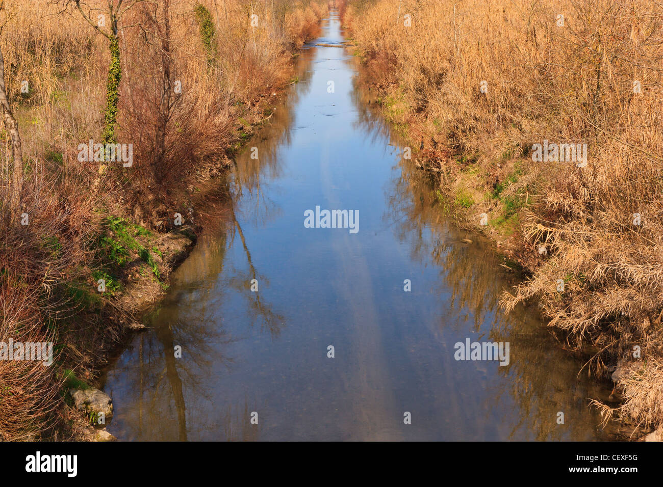 Landscape of a small river trough forest Stock Photo - Alamy
