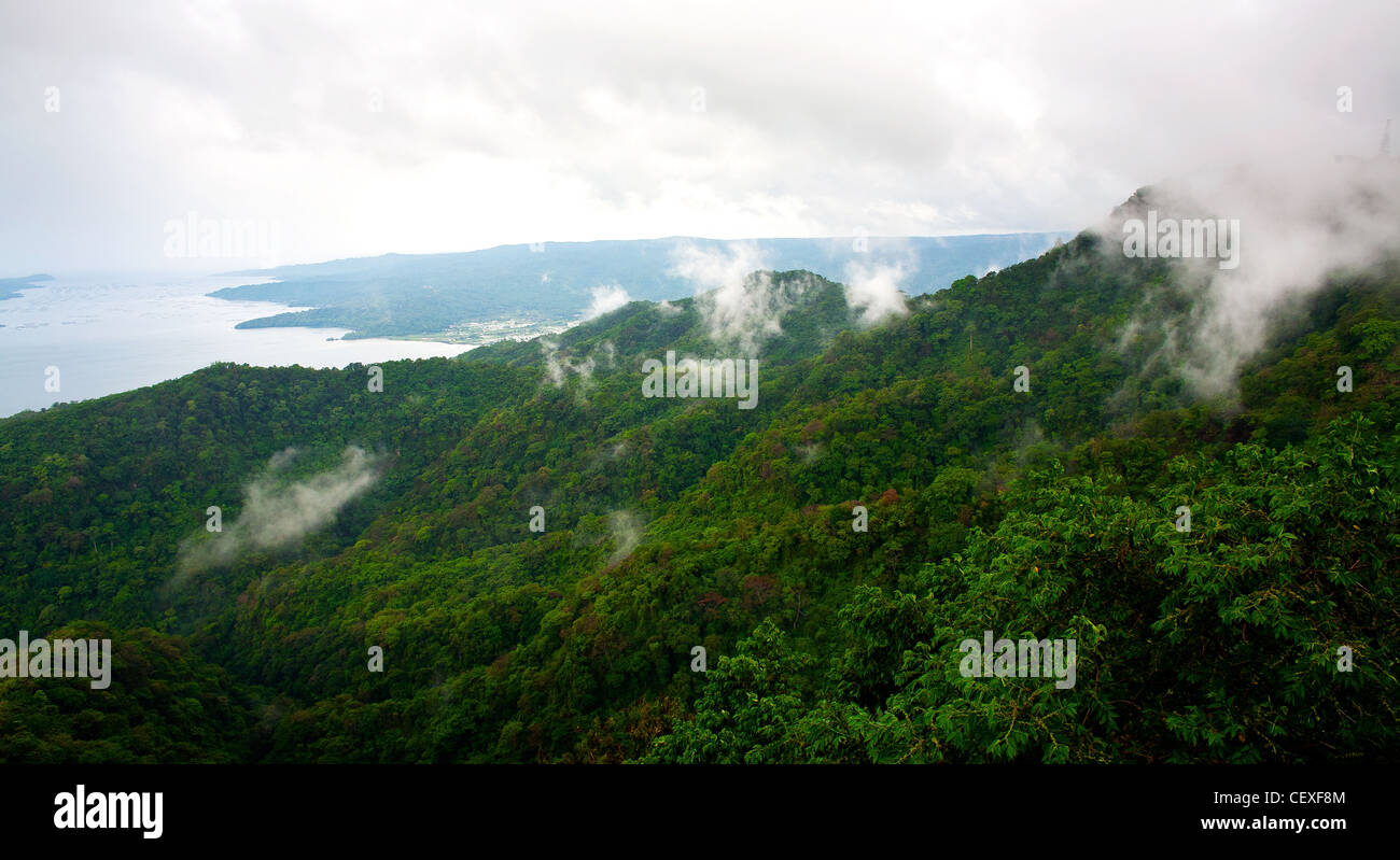 Morning fog rises off of the rain forest covering the slopes of ...