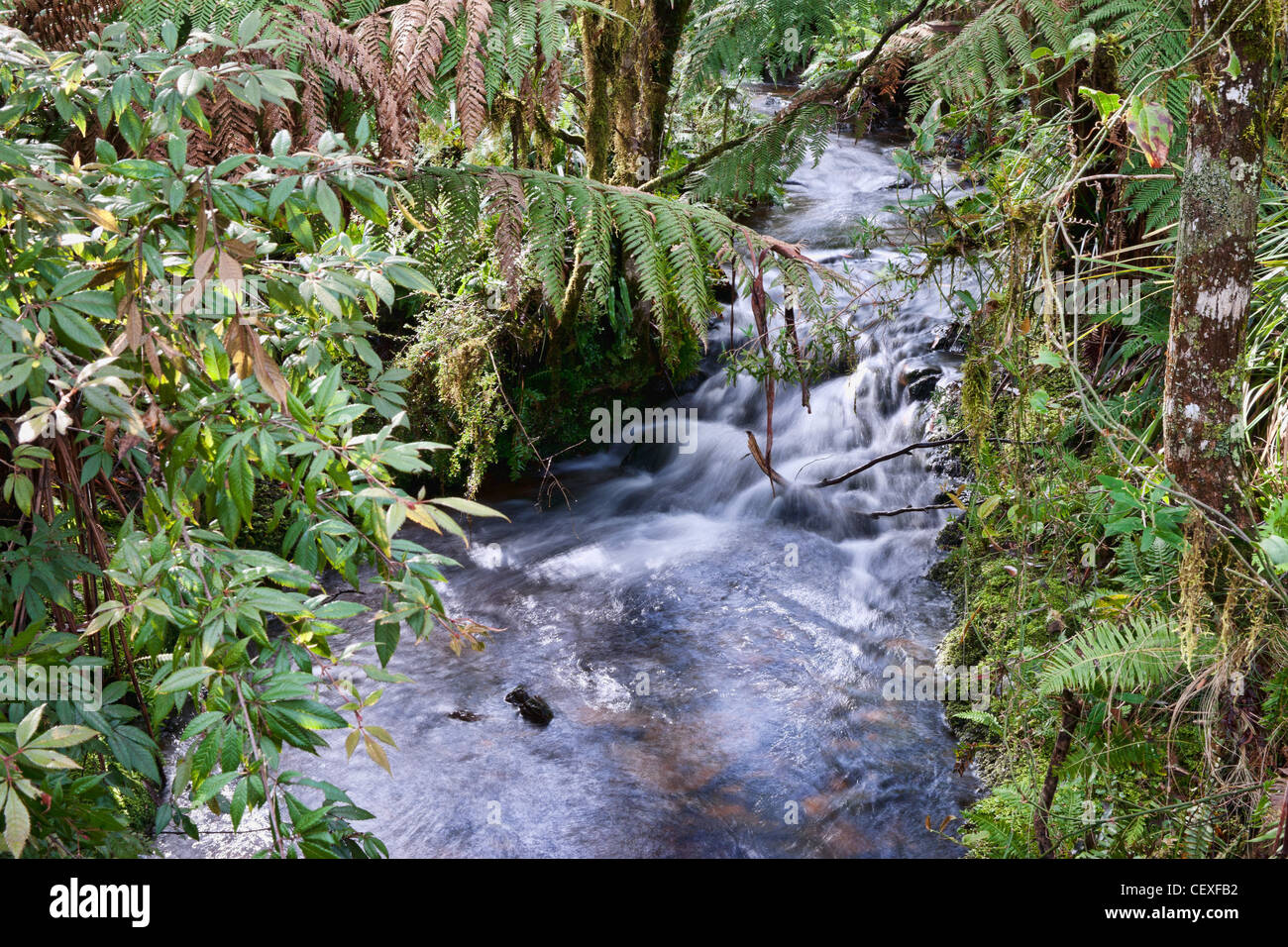 Little stream hi-res stock photography and images - Alamy