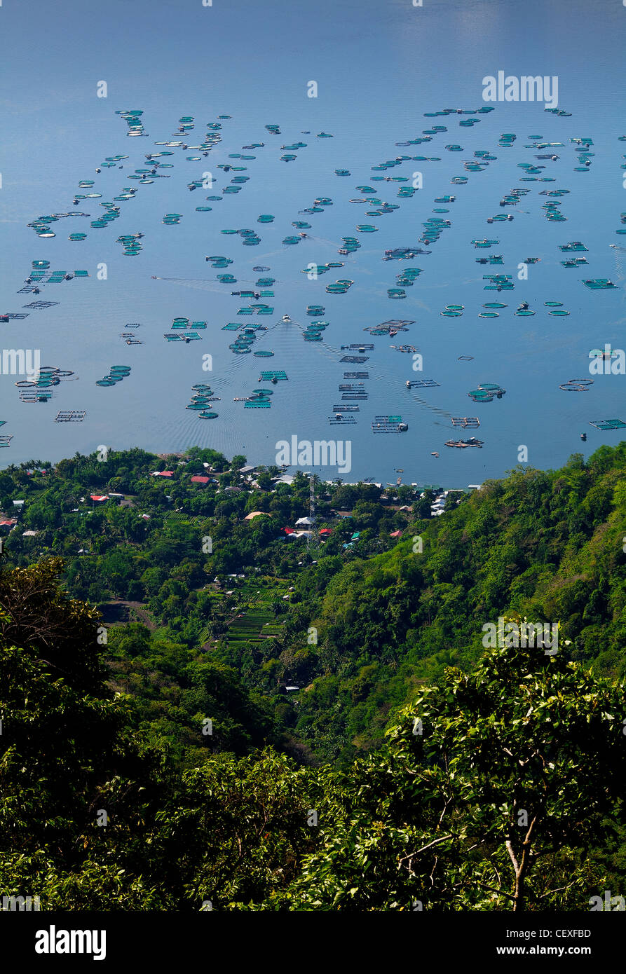 Fish farms sit in the clear blue water of Taal Lake in Cavite Province ...