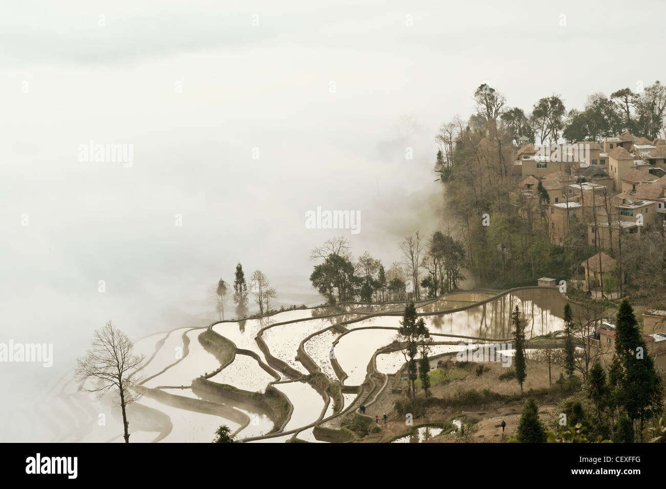 China Yunnan, Yuanyang terraced color Stock Photo - Alamy
