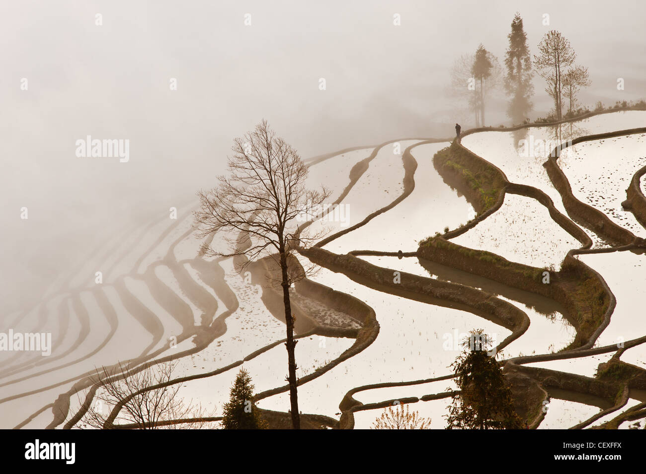 China Yunnan, Yuanyang terraced color Stock Photo - Alamy
