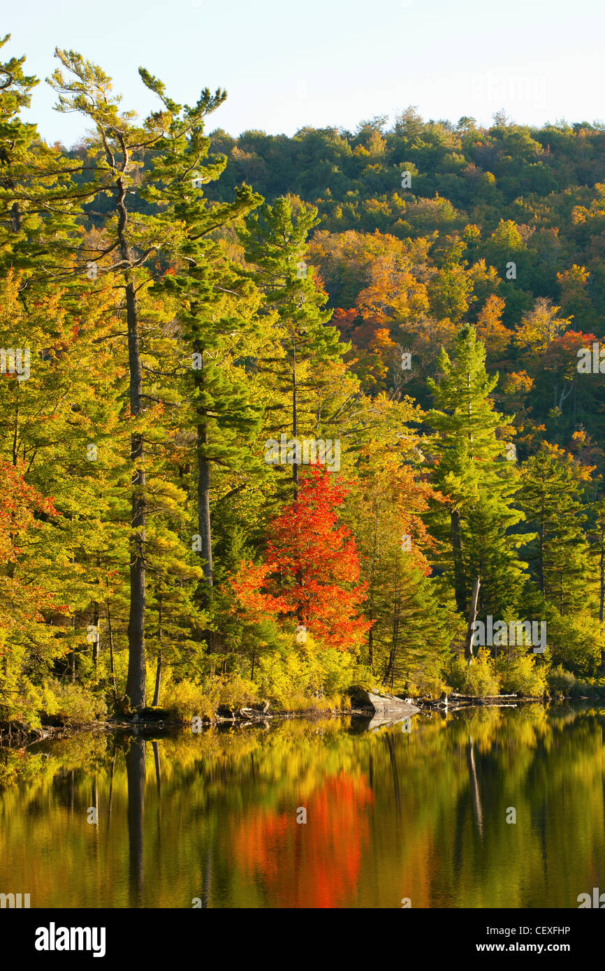 a lake and autumn colours in the late afternoon light; ville de lac ...