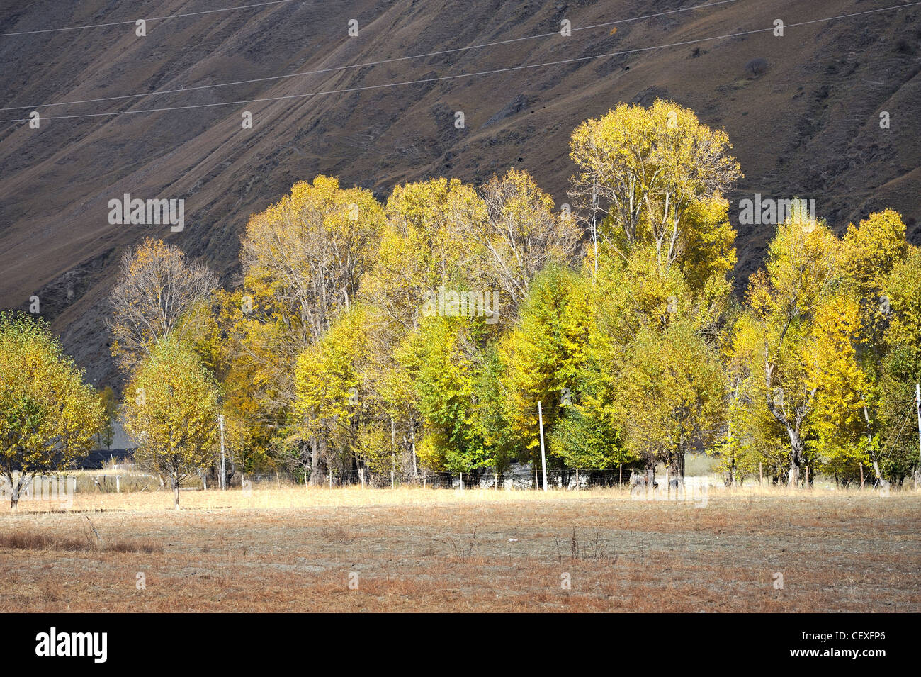 Western tibet plateau hi-res stock photography and images - Alamy