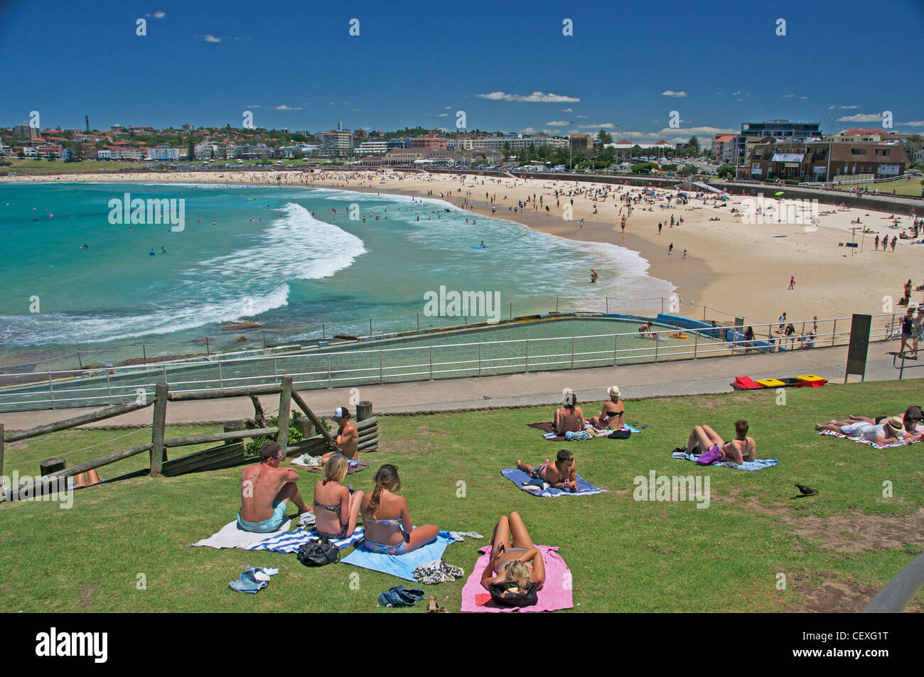Sunbathers on South Bondi Beach Sydney Australia Stock Photo - Alamy