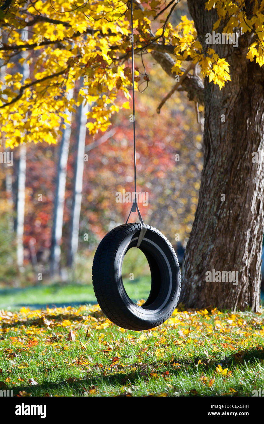 Tire swing in Autumn Stock Photo - Alamy