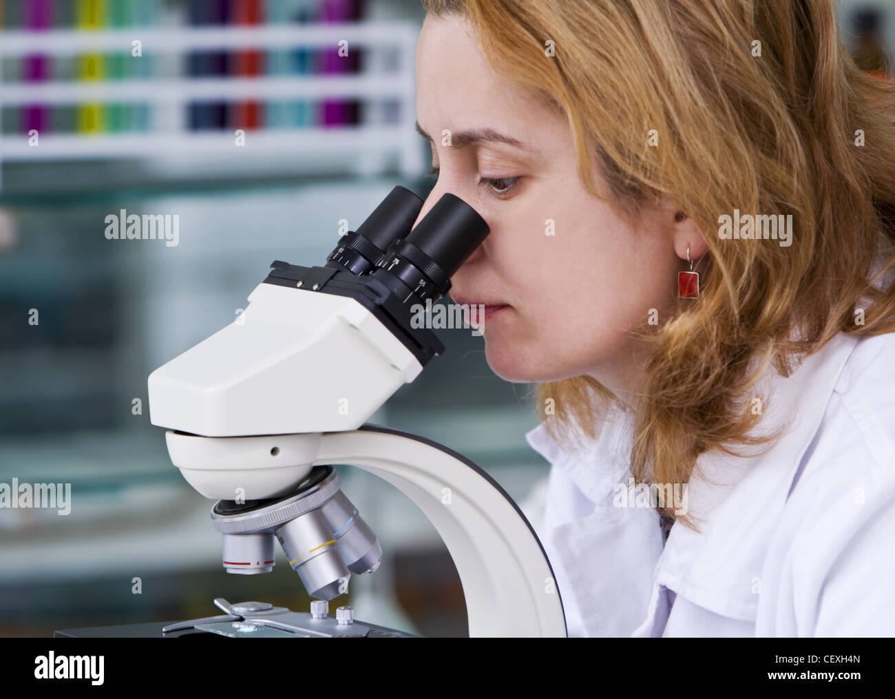 Female researcher looking through a microscope in a laboratory Stock ...