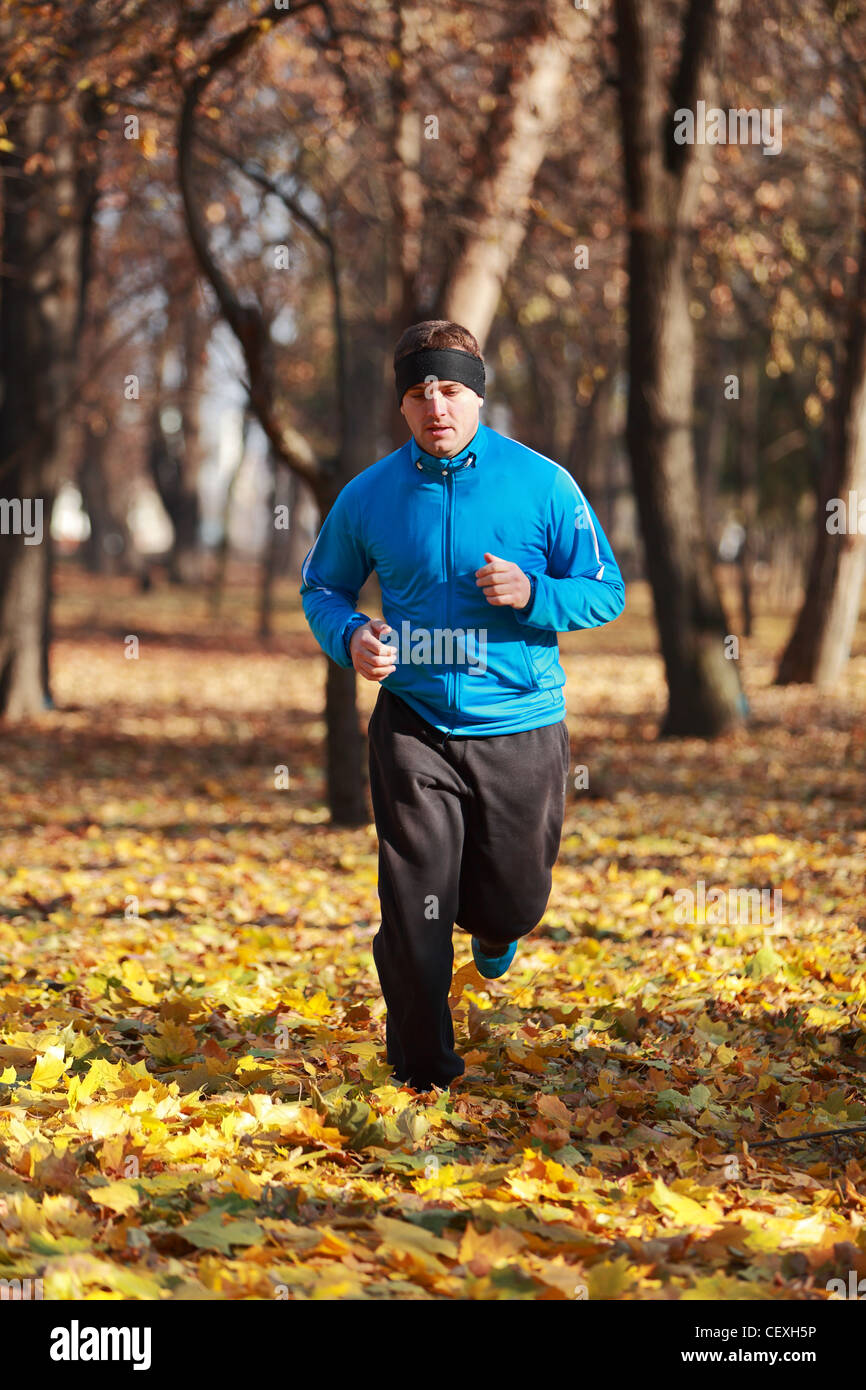 Man running in a forest in autumn Stock Photo - Alamy