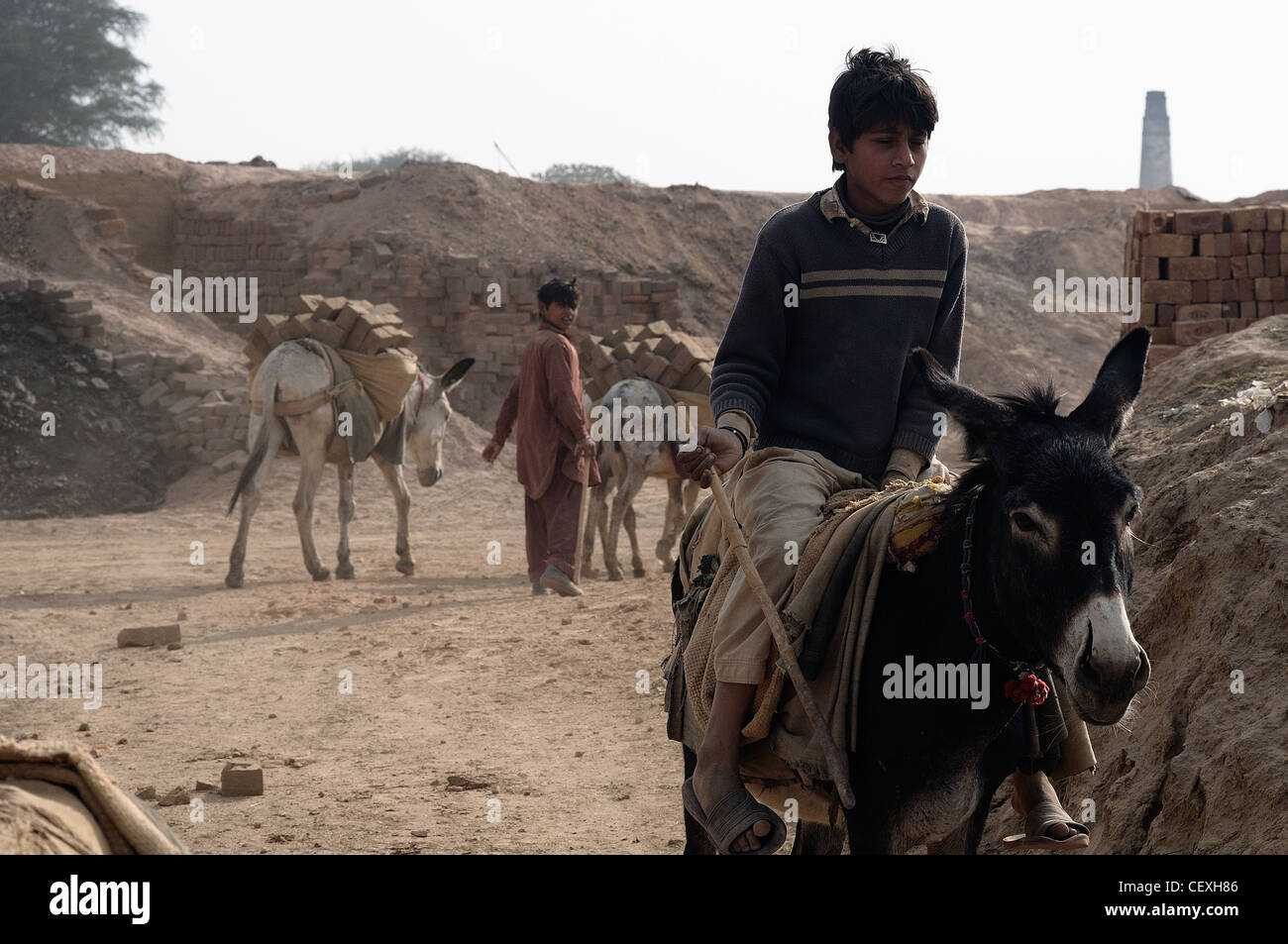 A boy working at the brick kiln and his donkey Stock Photo - Alamy