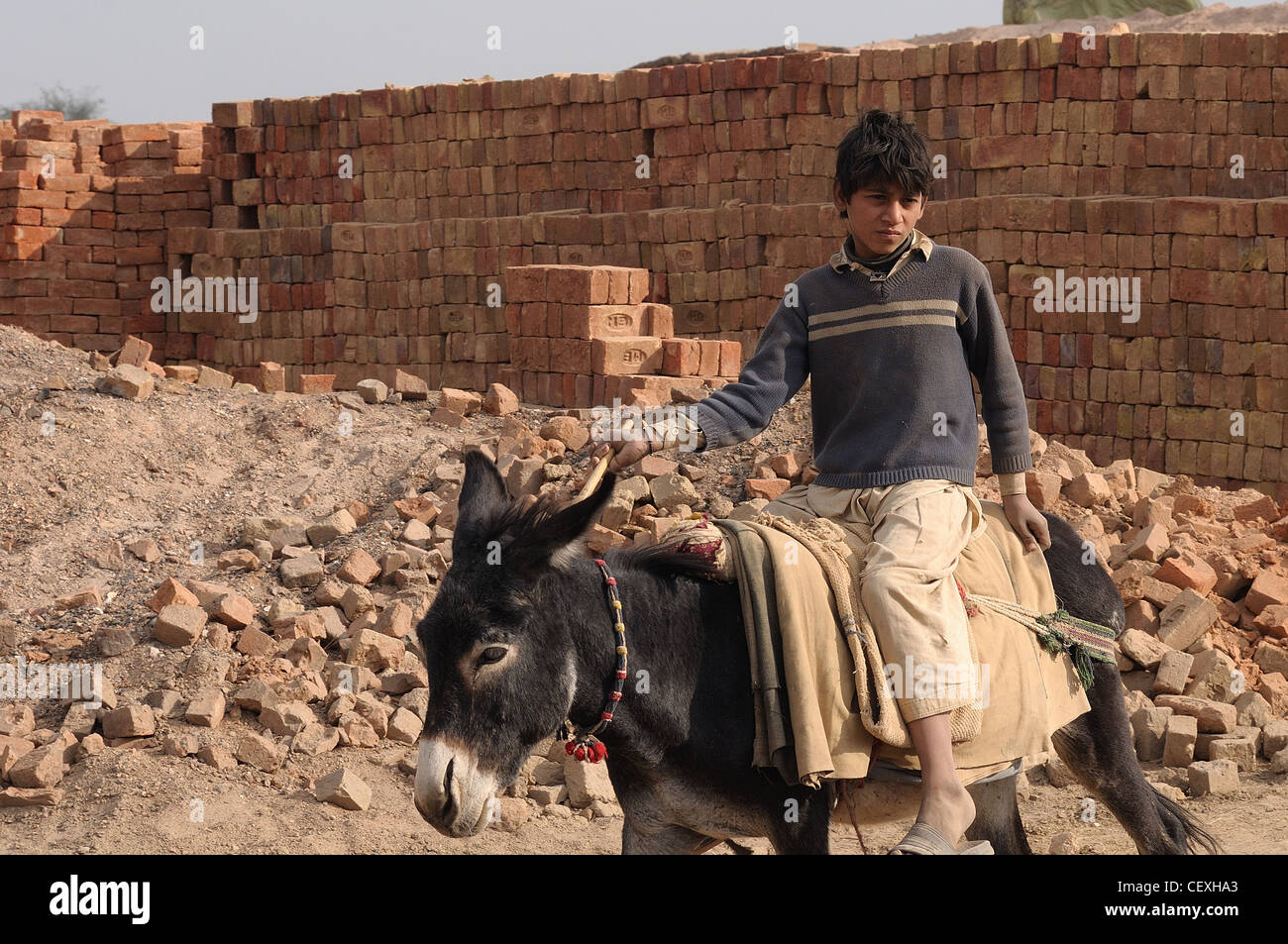 A boy working at the brick kiln and his donkey Stock Photo - Alamy