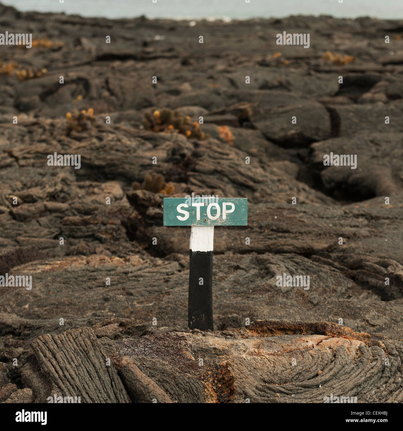 a stop sign posted on molten rock; galapagos, equador Stock Photo - Alamy