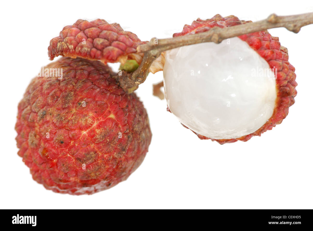 fruit litchi isolated in white background Stock Photo - Alamy