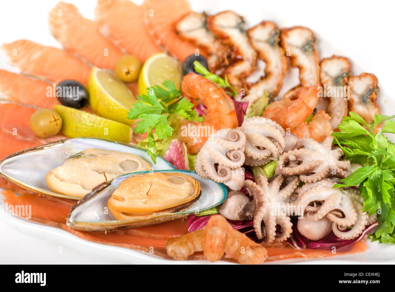 Different Mollusks Food High Resolution Stock Photography and Images ...