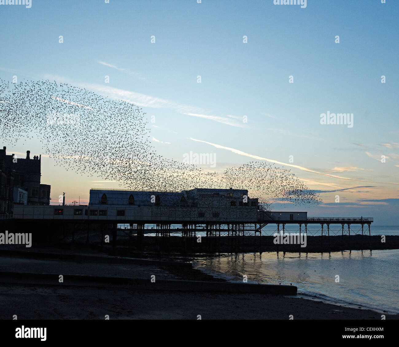 Starlings pier aberystwyth wales hi-res stock photography and images ...
