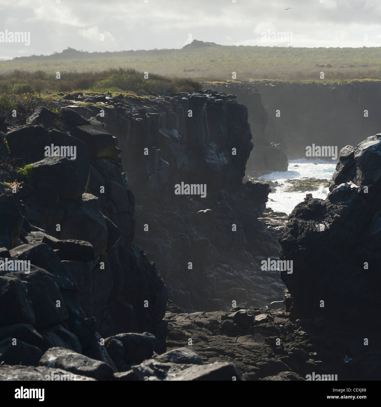 coast of espanola island; galapagos, equador Stock Photo - Alamy